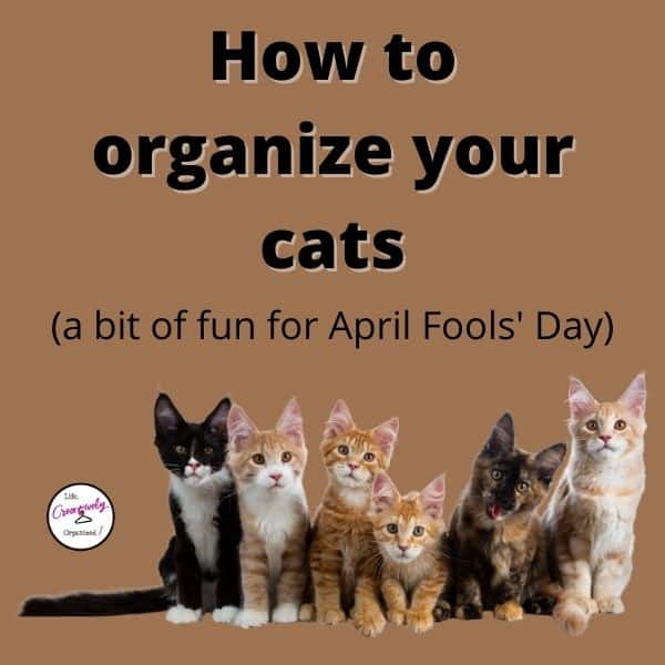 How to organize cats - LIFE, CREATIVELY ORGANIZED