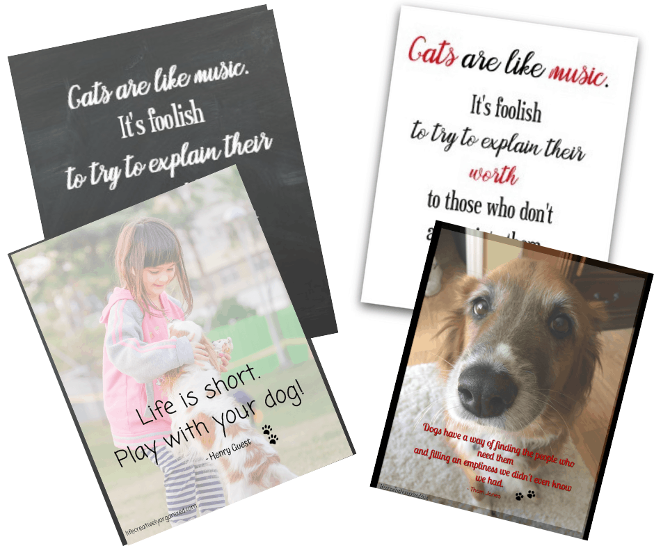 4 printable pet quotes - LIFE, CREATIVELY ORGANIZED